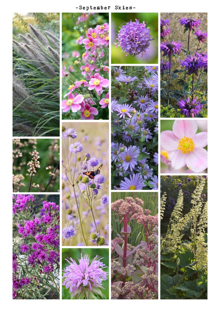 Bestel het Seasons Borderpakket: inclusief 24 natuurvriendelijk ...