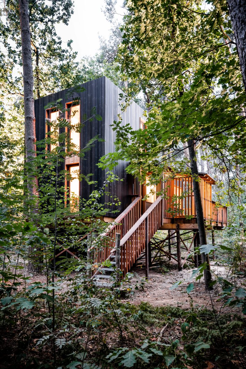 3x prachtige boomhutten in België | Vakantie | Seasons