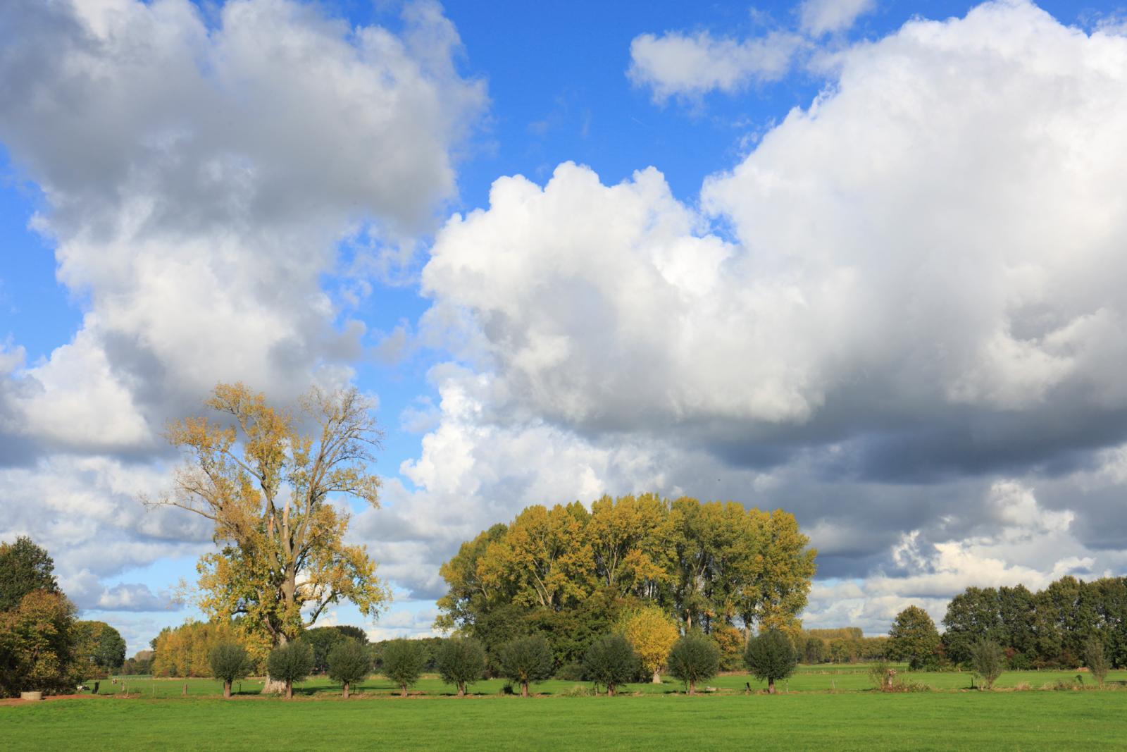 Wandelen: de Helmichroute in Baak (Gelderland) - Seasons