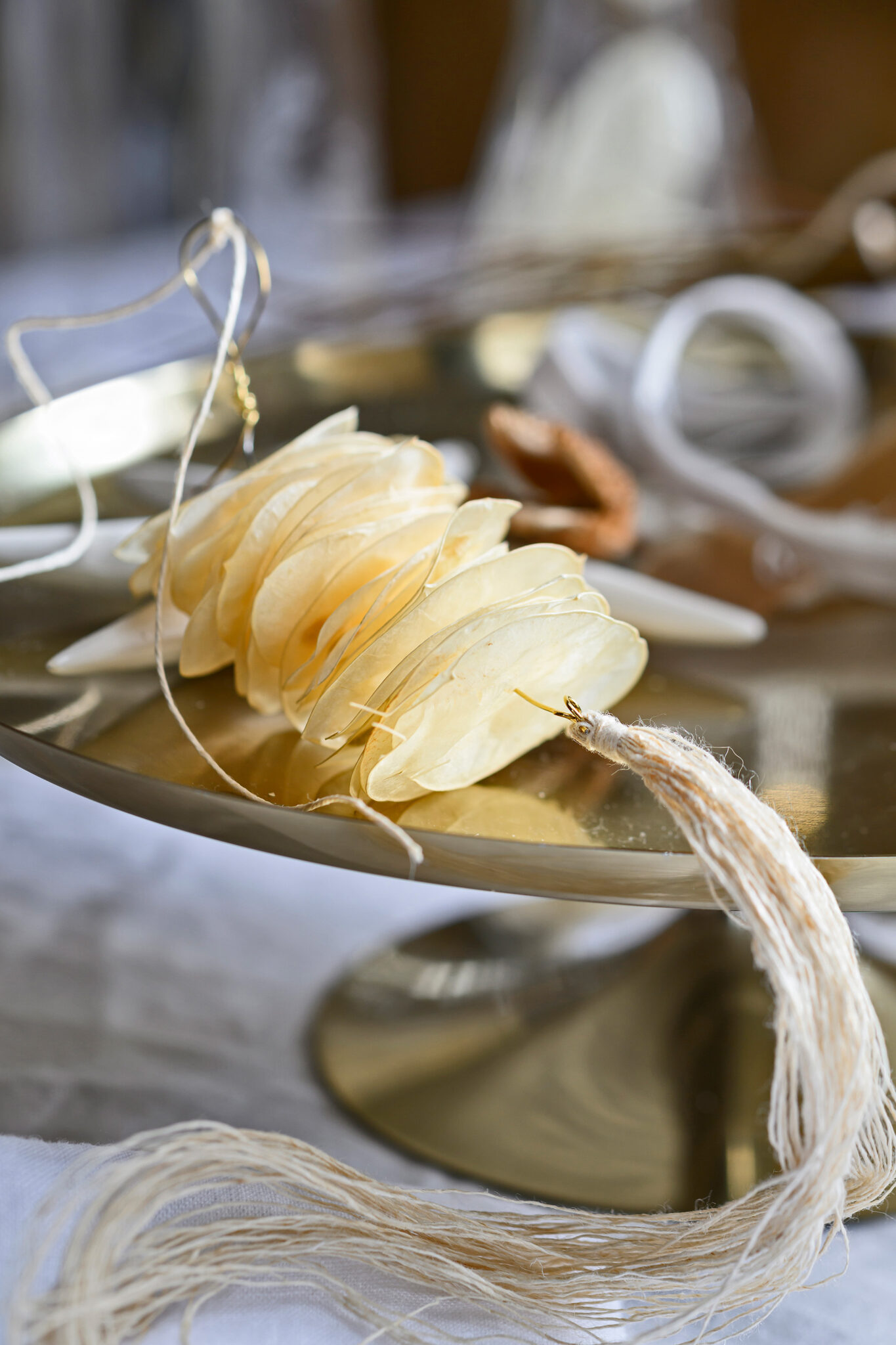 DIY: aan de slag met judaspenning